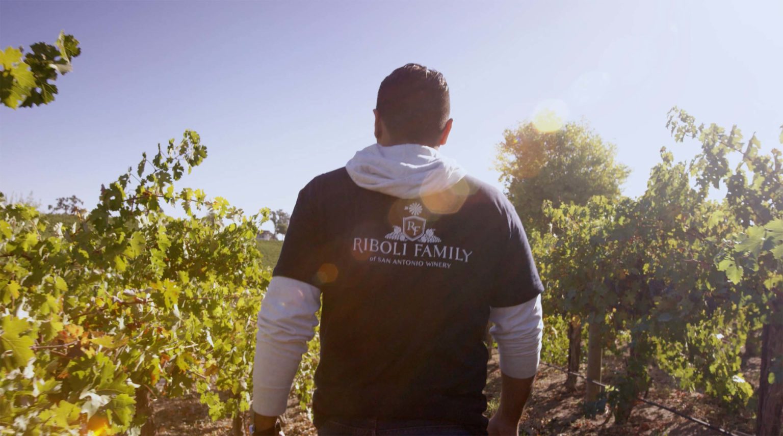 Southern California Winery - San Antonio Winery