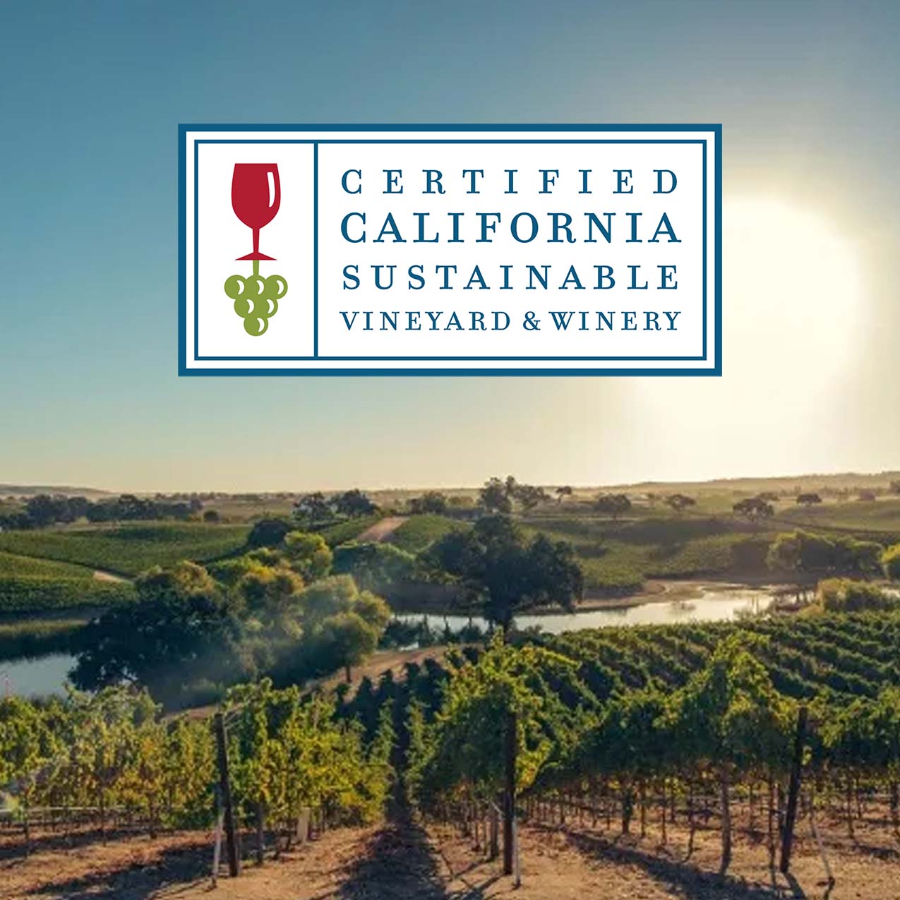 San Simeon Wines | Cabernet, Pinot Noir & More | San Antonio Winery